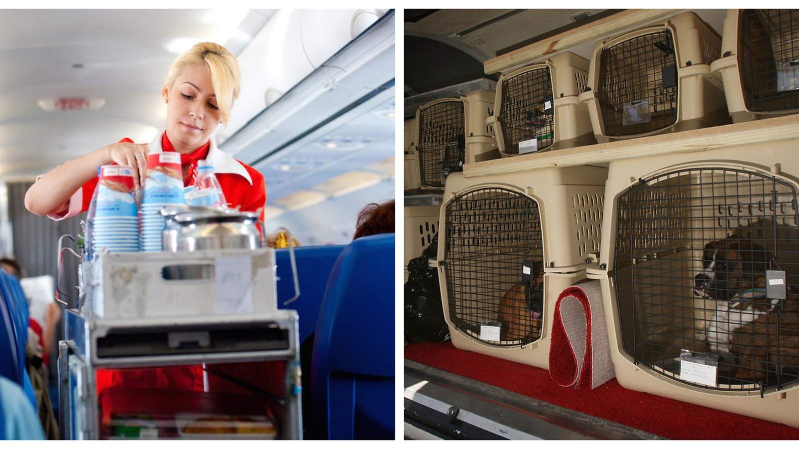 10 Odd Places In An Airplane (And 10 Of The Cleanest)