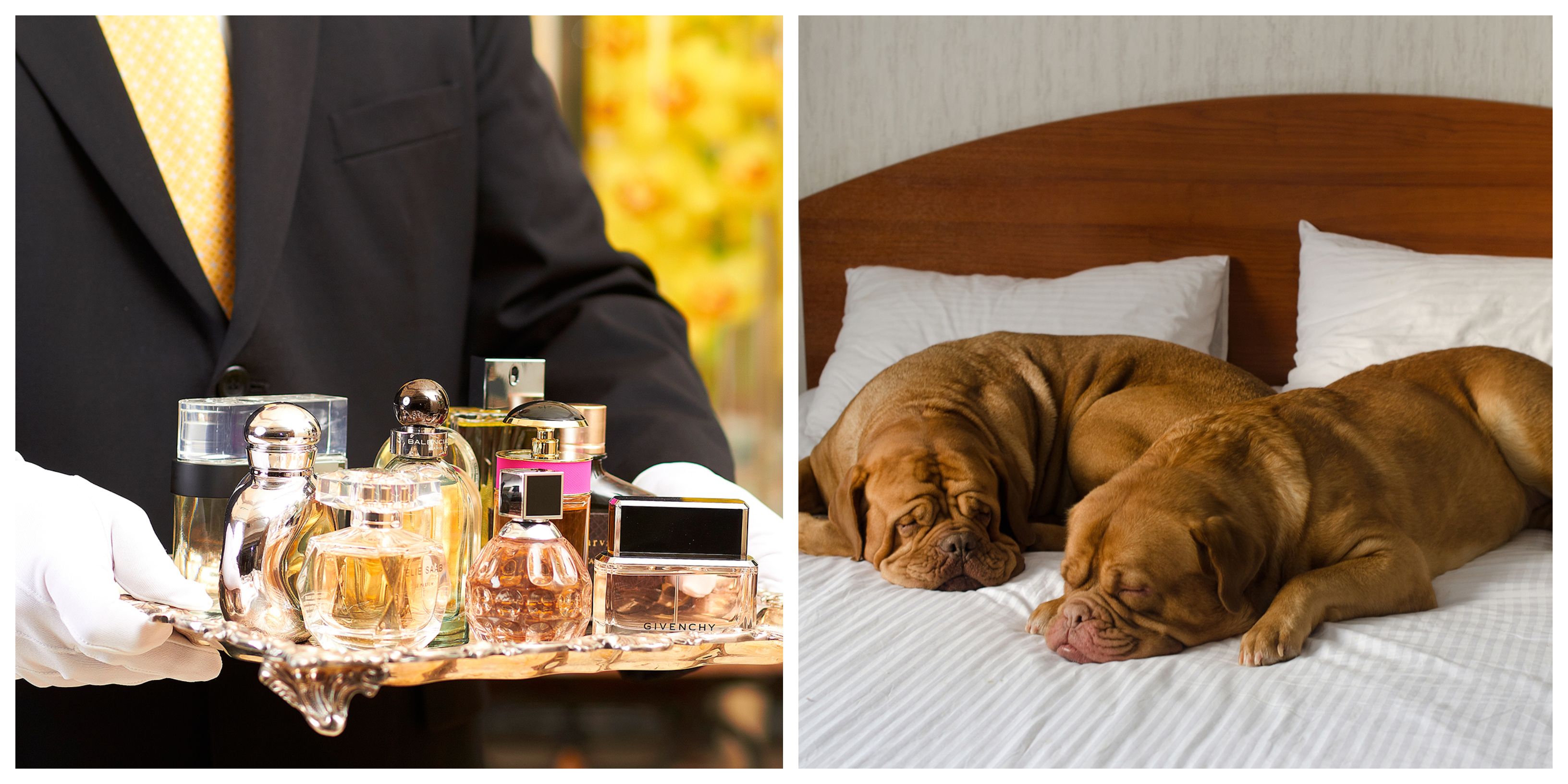 20 Surprisingly Free Things Tourists Can Find In Luxury Hotels