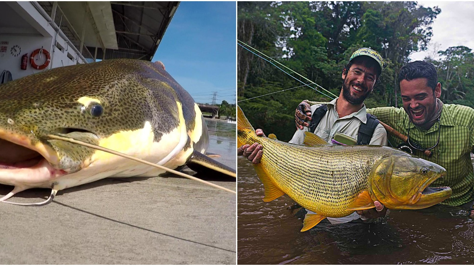 The 10 Most Exotic Fishing Destinations From Around The World