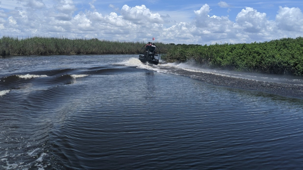 Explore The Swamps With These Kissimmee Airboat Tours