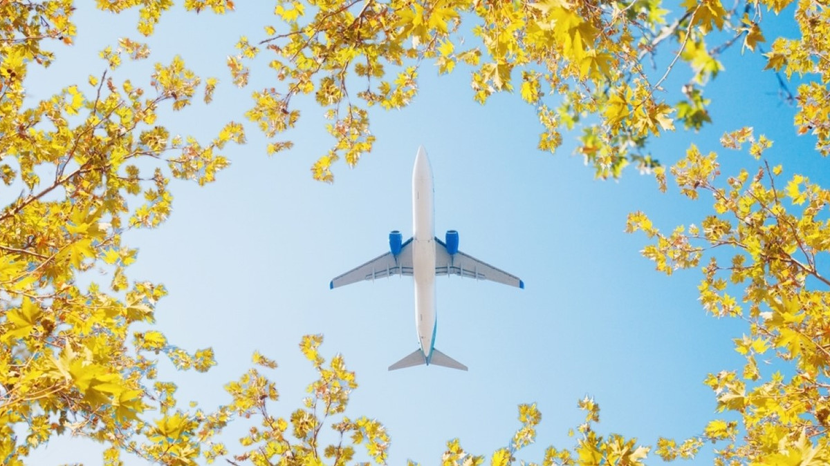 10 (Cheap) Reasons To Start Booking Flights In The Fall