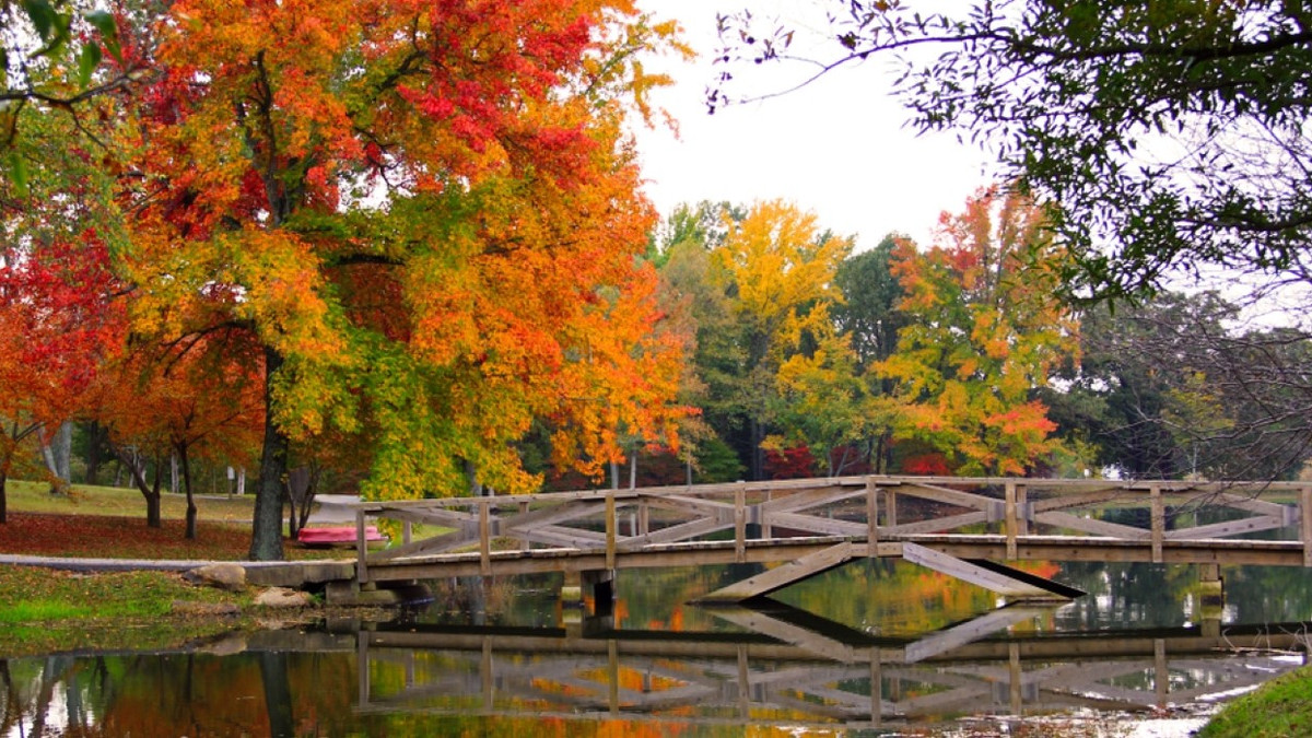 This Is The Best Time To See Beautiful Fall Colors In Arkansas