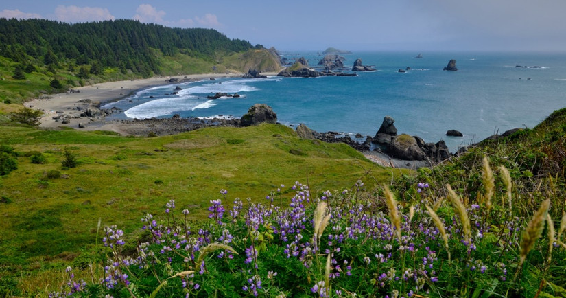 10 Places That Genuinely Feel Like Magic In Oregon