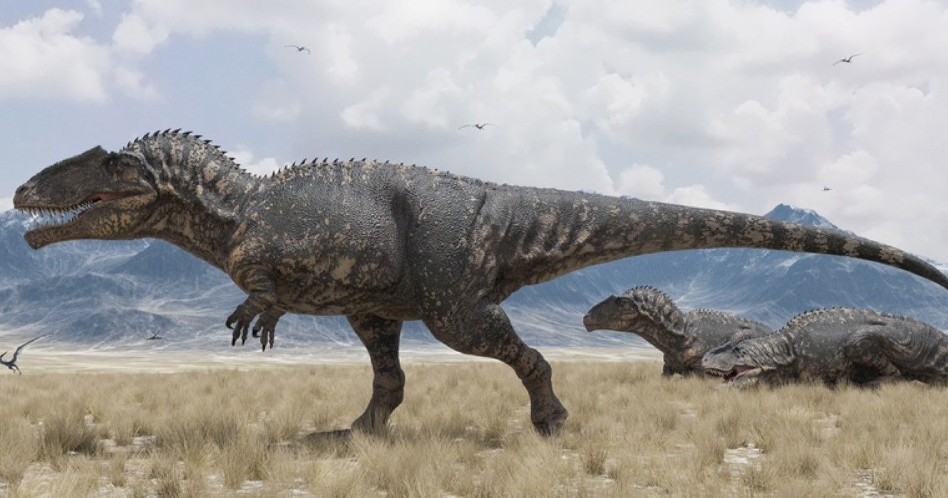 What Happened During Earth's Last Mass Extinction?