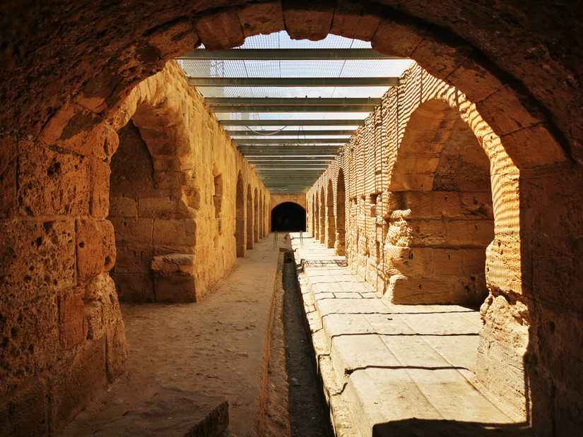 Hypogeum: How To Visit The Underground Network Of The Famous Colosseum ...