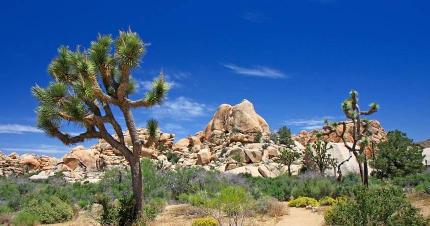 Ditch The Crowds At These 7 Cool Backcountry Camps In National Parks