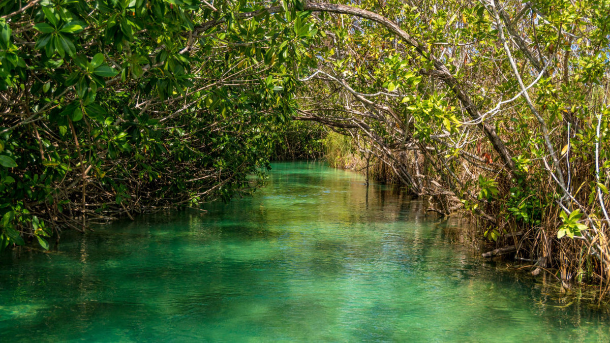Beyond Pyramids: Imagine Floating Down A Hand-Built Mayan Canal