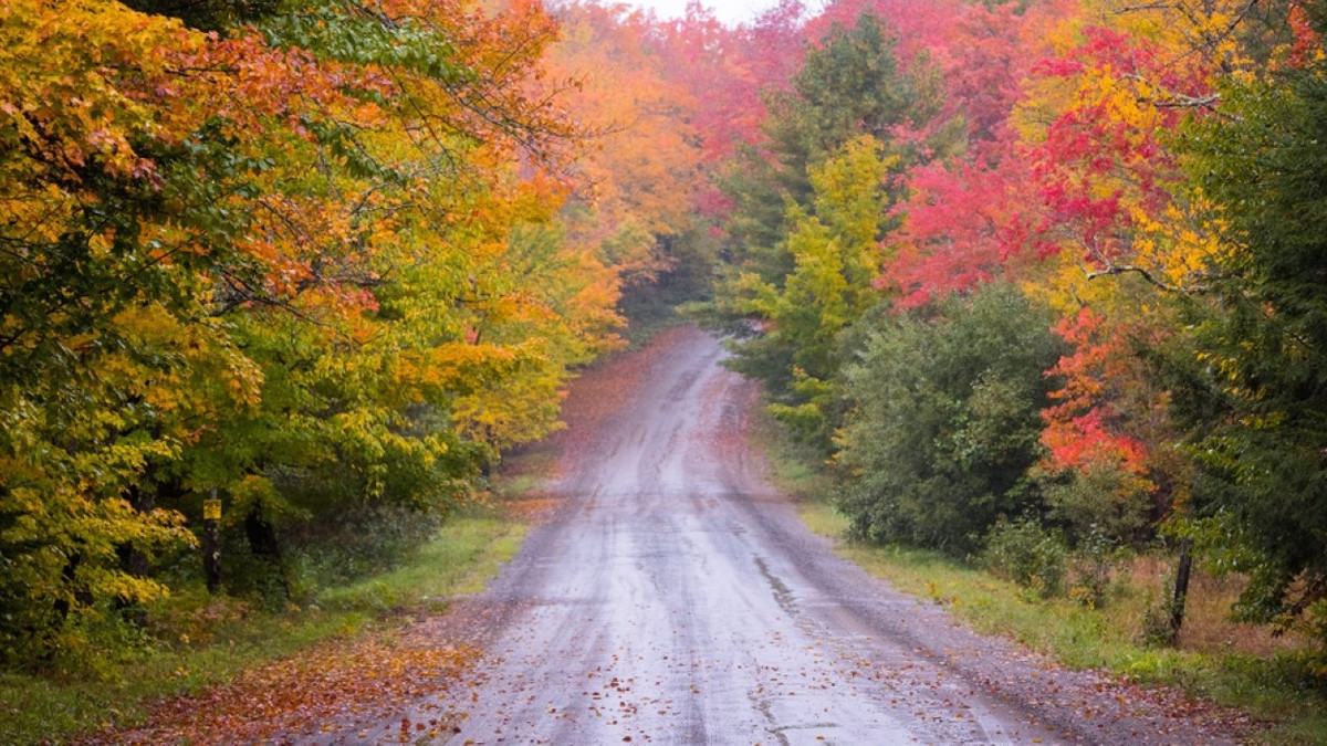 The Perfect New England Autumn Road Trip in 10 Days