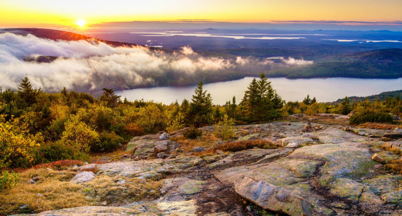 The 10 Best Dog-Friendly Hikes In Acadia National Park