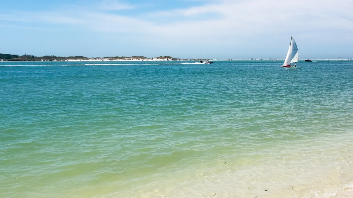 Shell Island Is A Hidden Secret In Panama, Florida