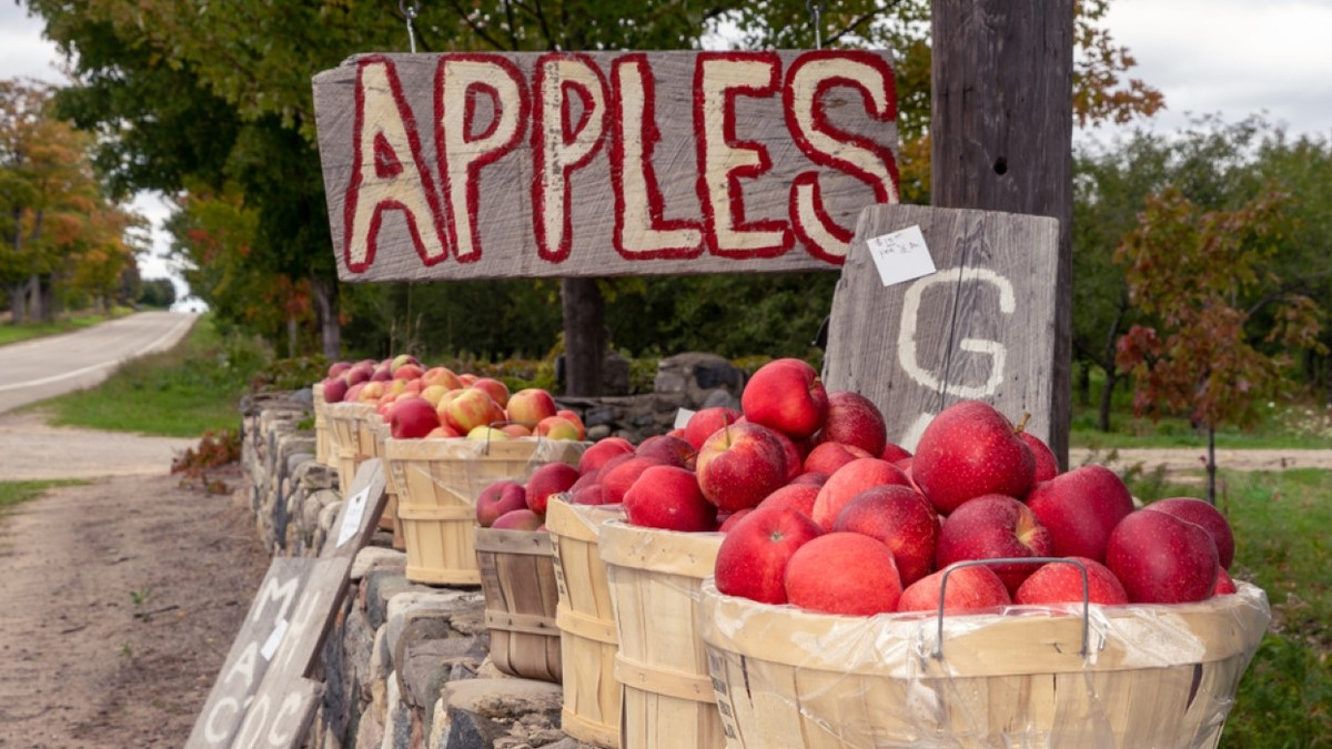 10 Best Apple Orchards In Michigan Ripe For The Picking