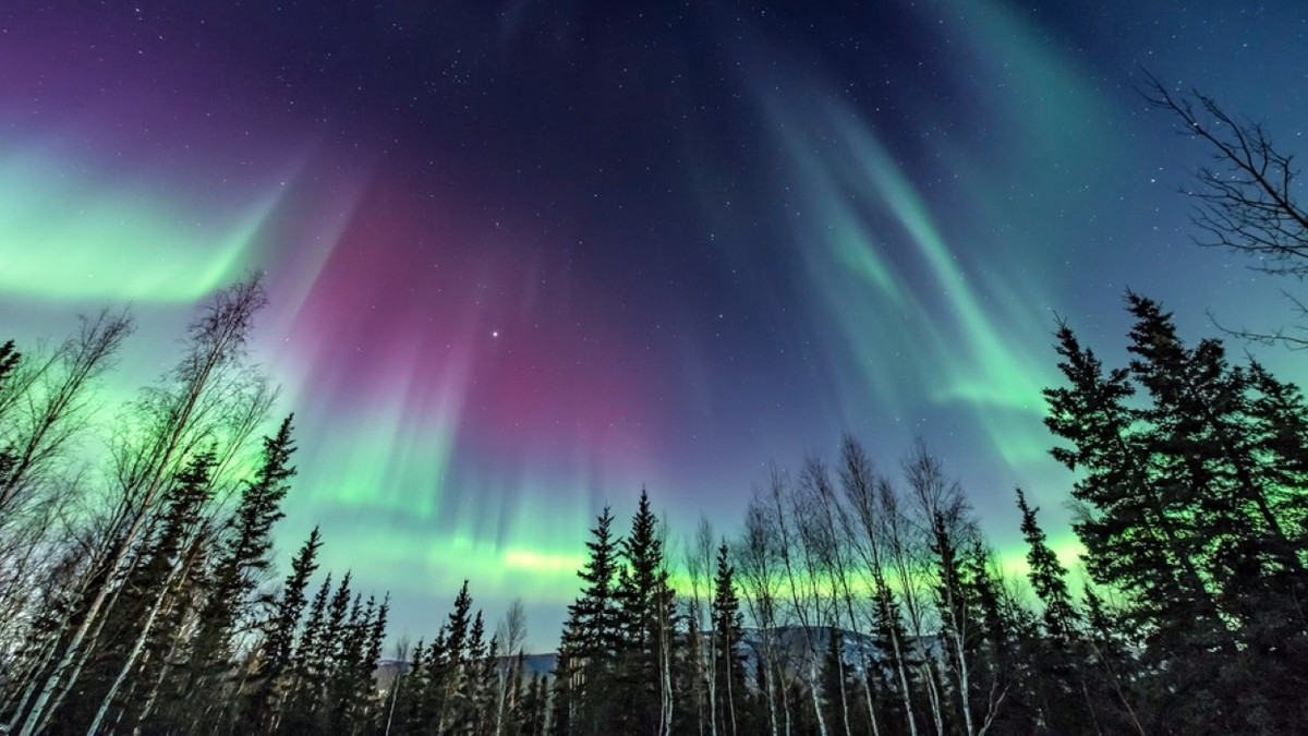 A Celestial Show: Where To Witness The Most 10 Spectacular Northern ...