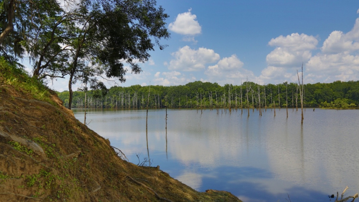 This Alabama 'Ghost Town' Is Actually A Forgotten Movie Set