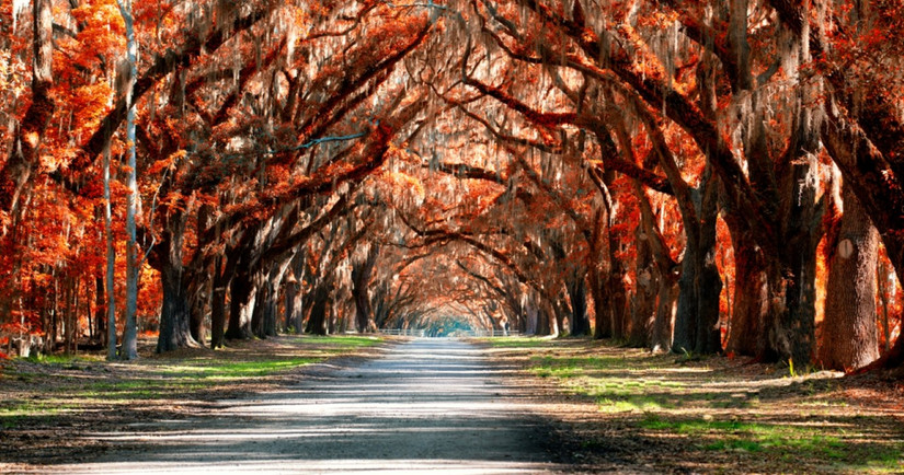 These Are The 10 Best East Coast Cities To Visit In The US This Fall