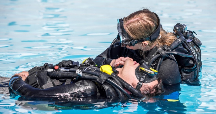 You Can Actually Go Scuba Diving In NYC (Including In The Hudson), Here ...