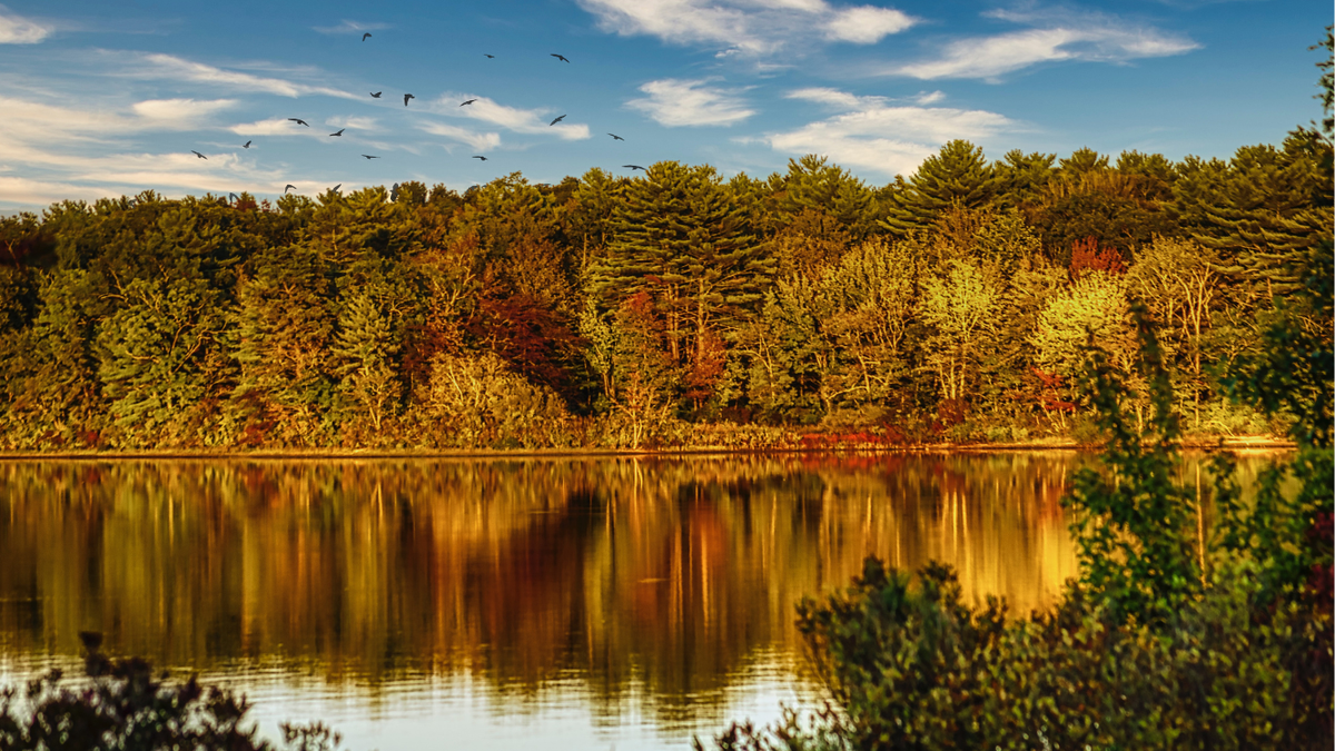 14 Massachusetts Towns That Are Celebrating The Fall Season Perfectly