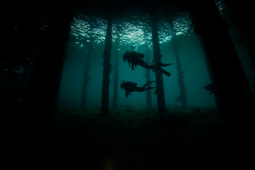10 Deep Dives Into Bermuda’s Most Haunted Shipwrecks