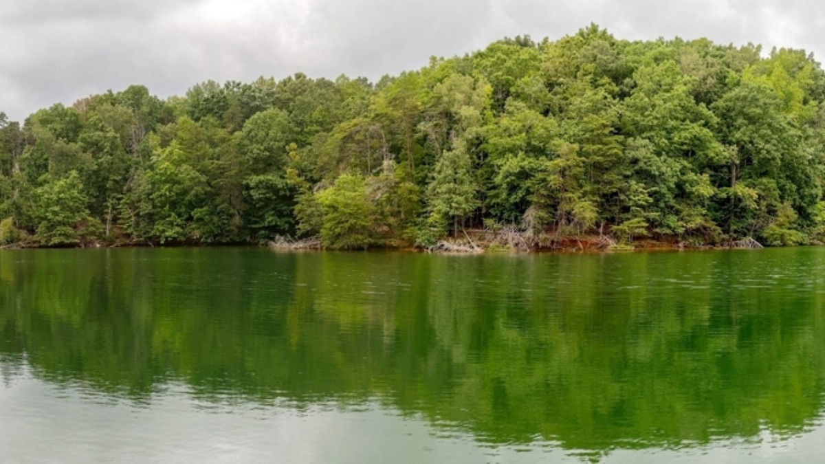 10 State Parks In Virginia To Visit (& Their Most Scenic Trails)