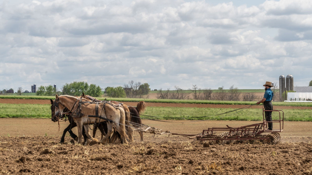Learn About The Amish On New York's Self-Guided Amish Trail
