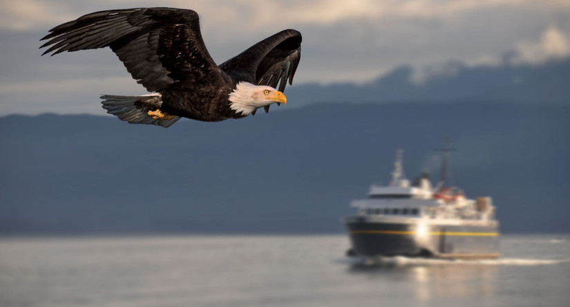 11 Most Beautiful Ferry Rides You Can Take In The U.S.
