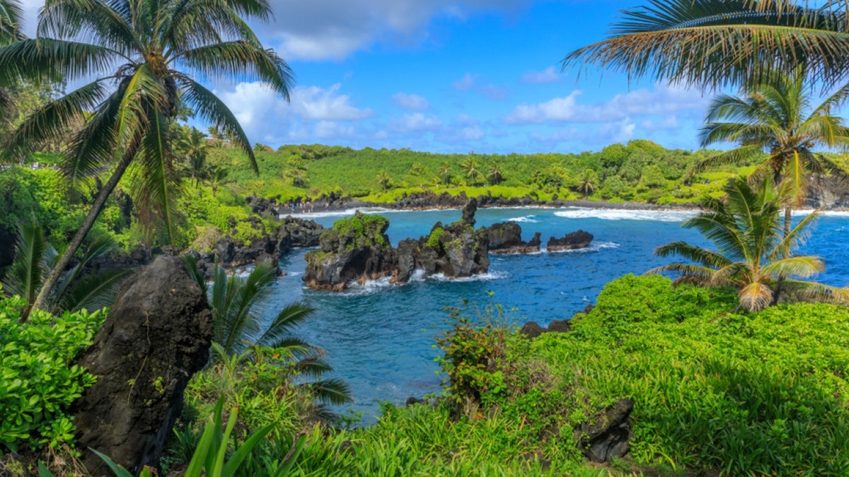 Lush Farms And Scenic Overlooks: Here's What To Experience On This Road ...