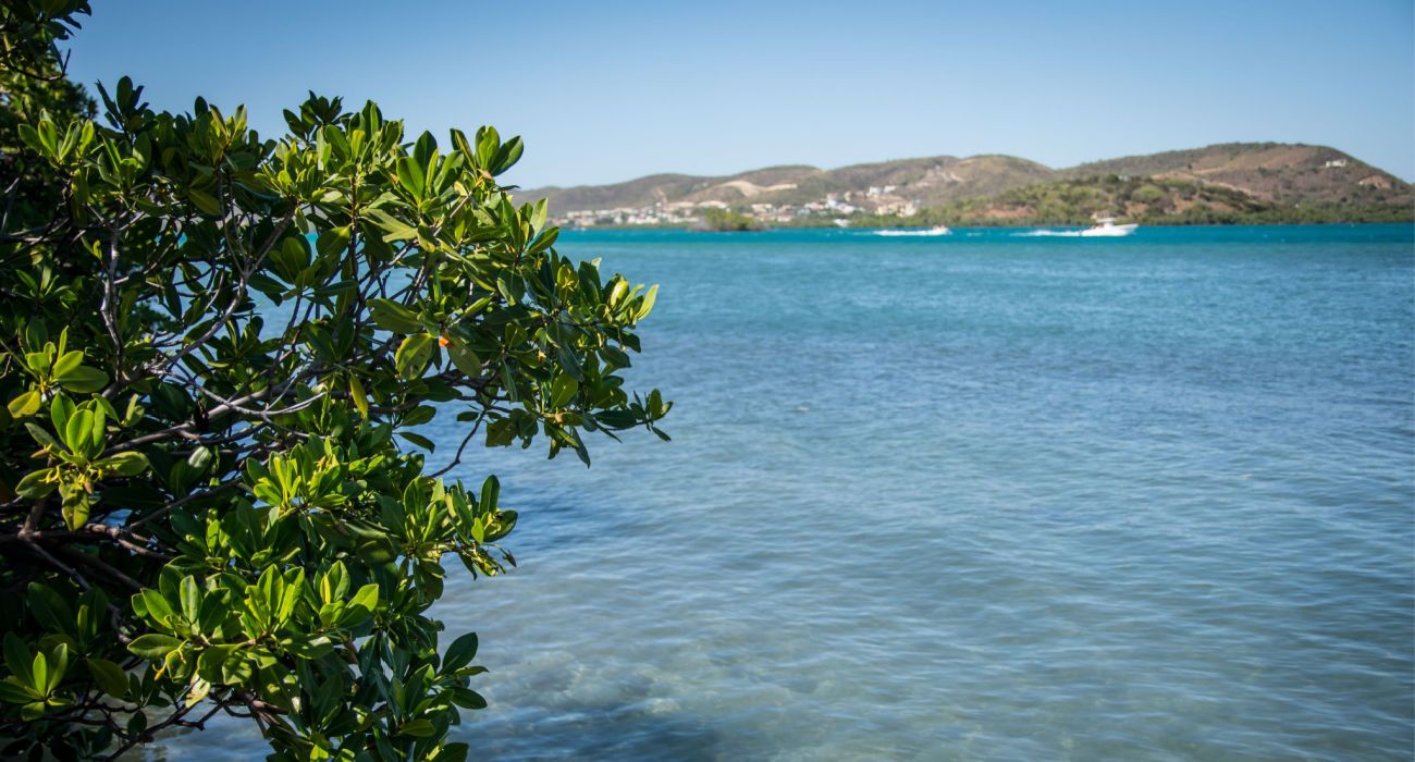 What To Know About Visiting Isla de Mona, Puerto Rico's Untouched ...