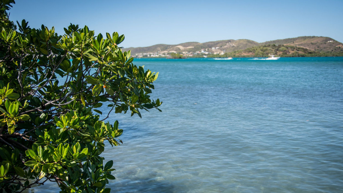 What To Know About Visiting Isla de Mona, Puerto Rico's Untouched ...
