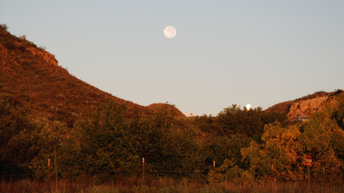 10 Scenic National Wildlife Refuges Parks In Texas