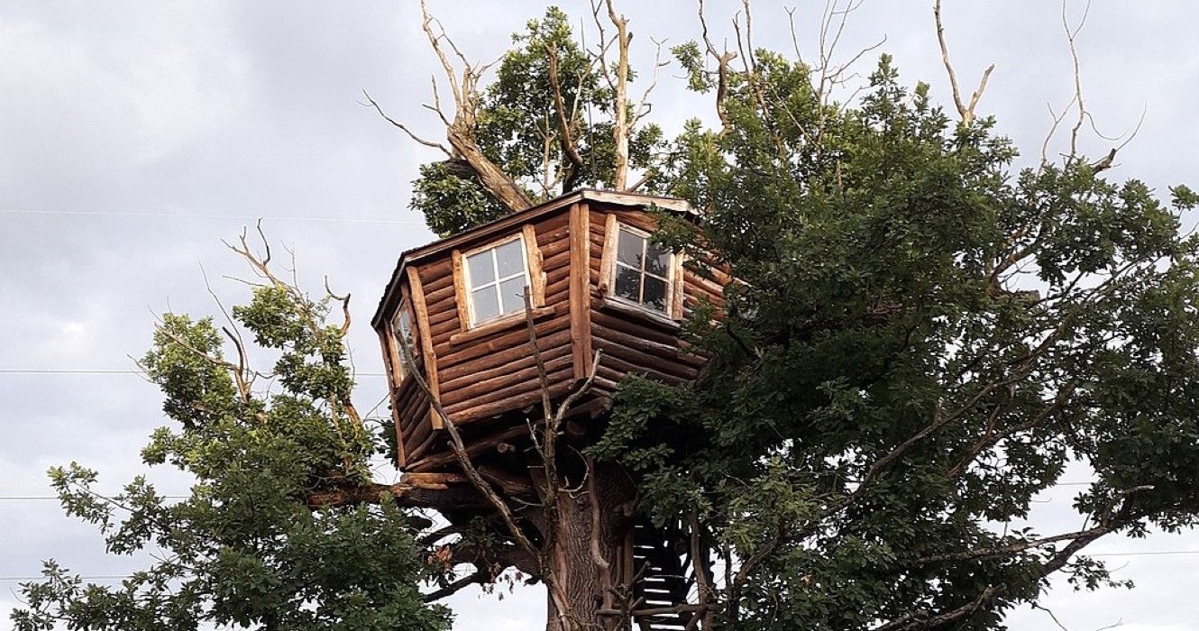 Tennessee Had The World's Largest Treehouse, But It Ended In Disaster