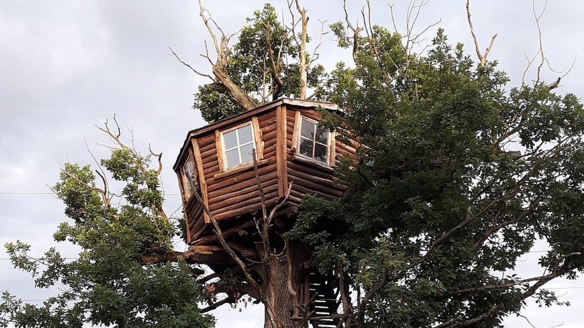 Visiting Redmond Washington? Quickly Tour This Quirky Treehouse Etched ...