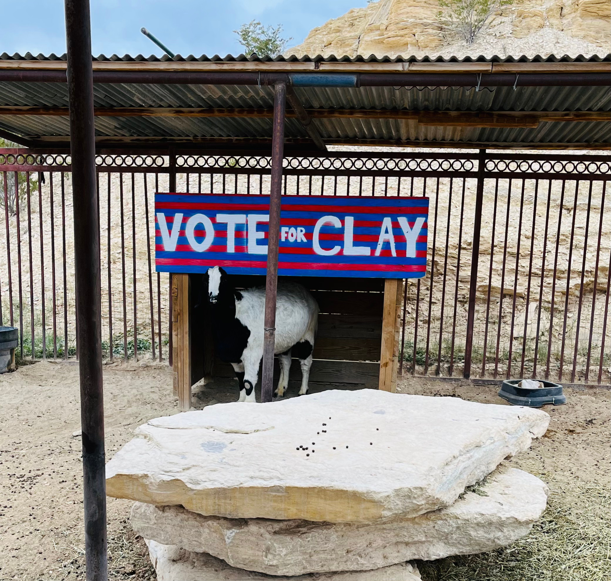 10 Reasons To Visit Lajitas, Texas (Including To See Its Goat Mayor)