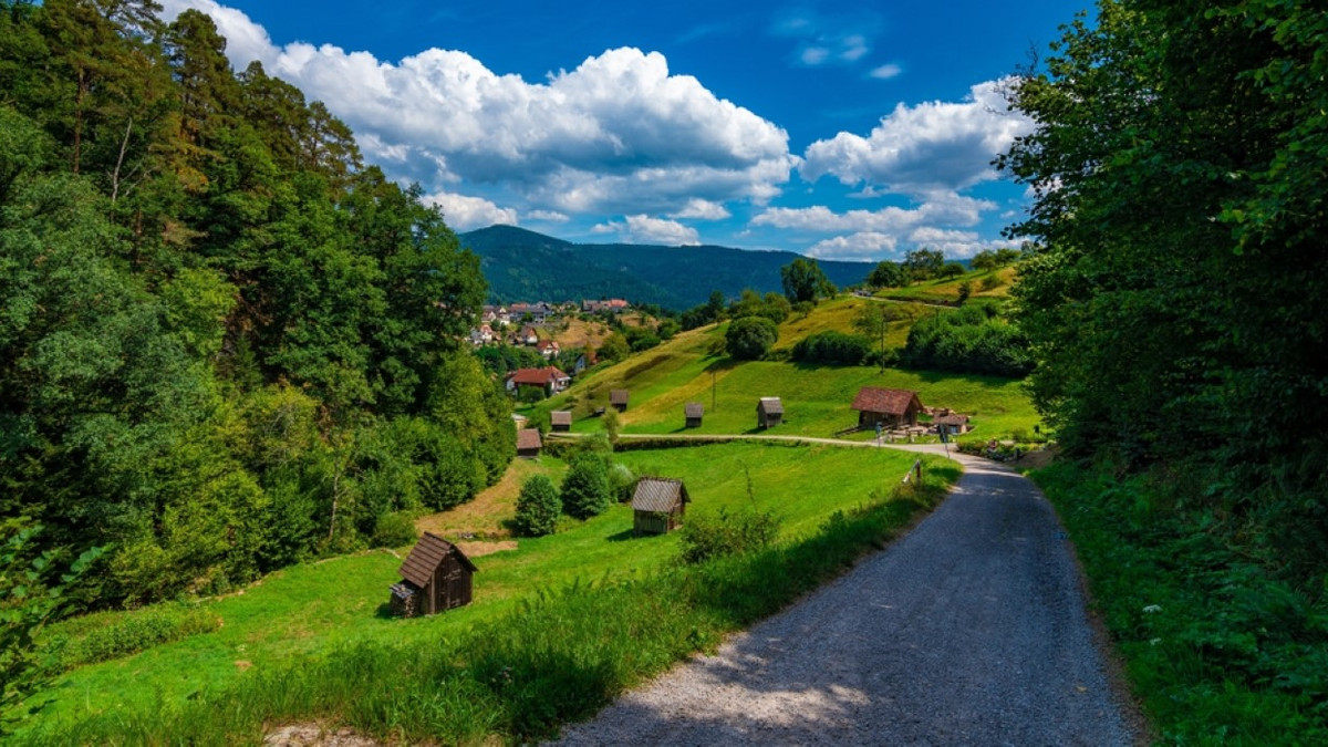 10 Things To Do In The Black Forest, Germany