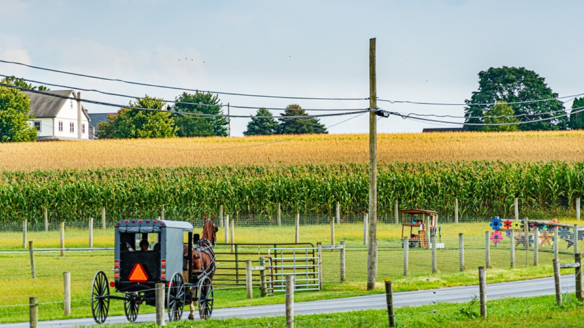 13 Best Amish Towns To Visit During Holidays