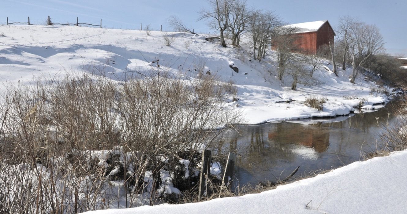 10 Cozy West Virginia Towns You'll Want To Book For The Winter Season