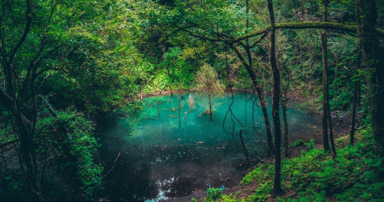 7 Best Hikes In The Green Mountains Of Vermont