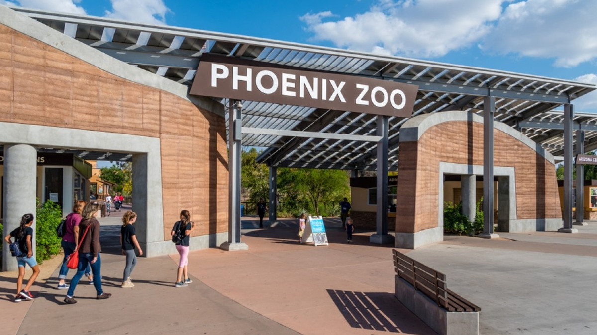 The Essential Guide You Need To The Phoenix Zoo