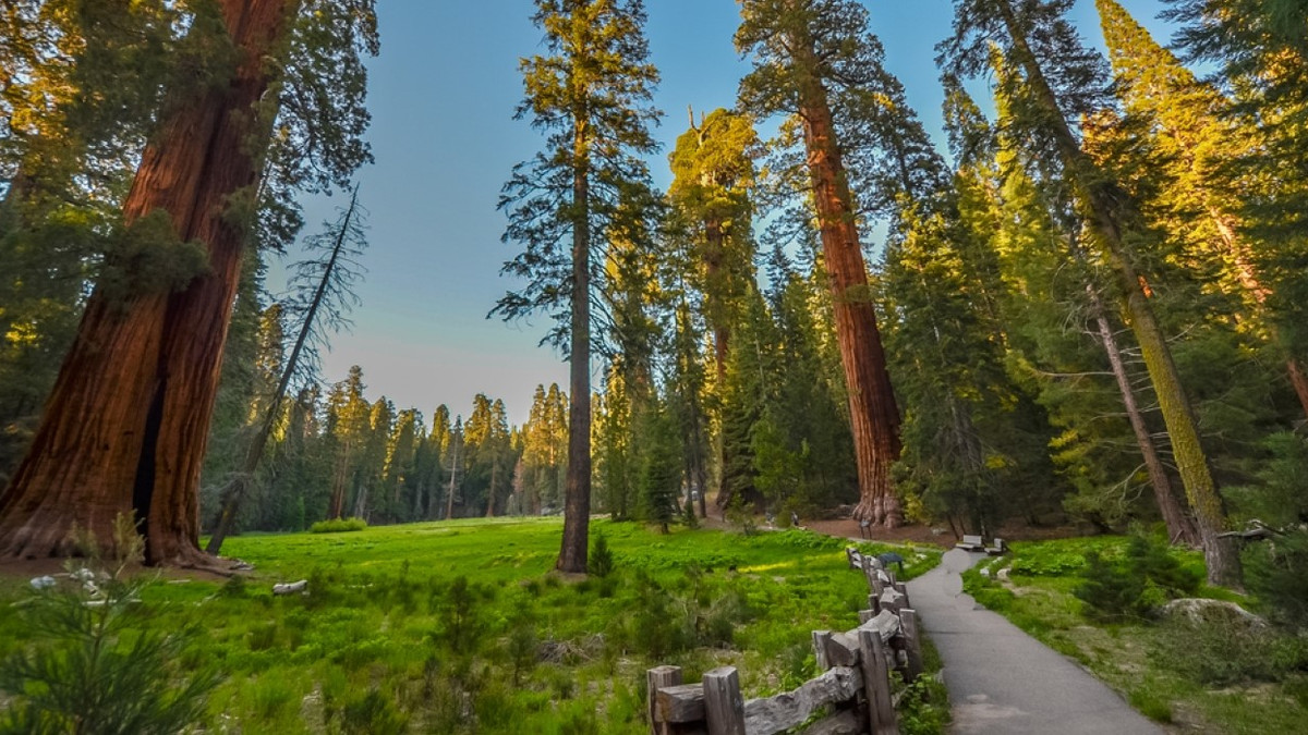 10 Best Things To Do At Sequoia & Kings Canyon National Parks