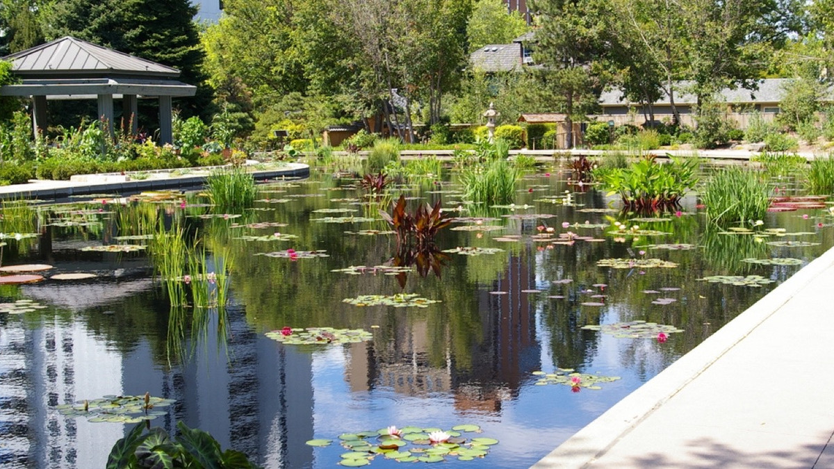 10 Amazing Things To Do In Denver, Colorado