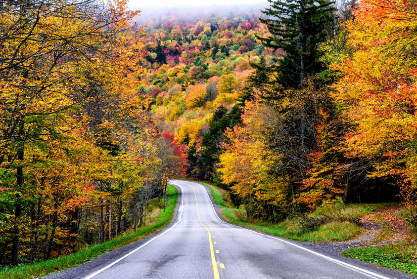 Iconic Landmarks You Need To See When Visiting Virginia