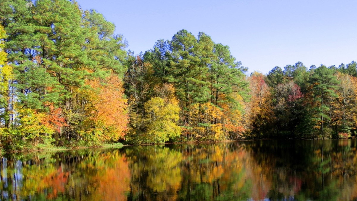 10 Out-Of-This-World Day Trips In Delaware