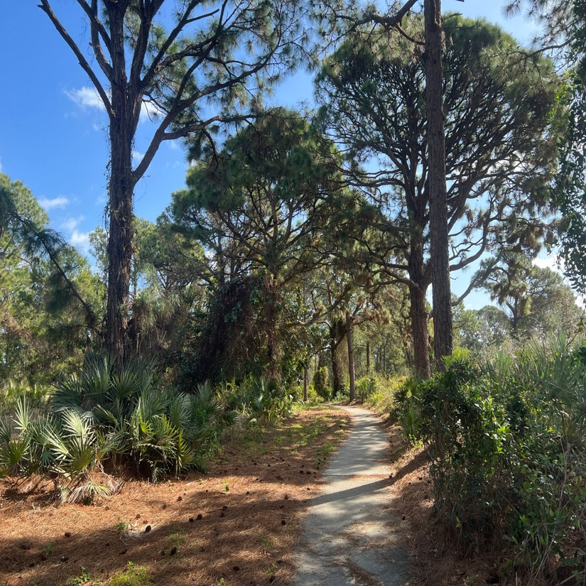 11 Best Things To Do In Boynton Beach, Florida