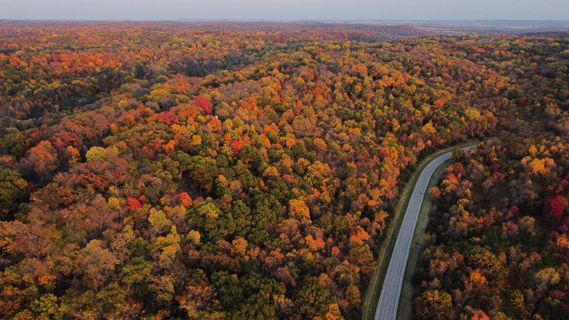 10 Cozy Towns In The Midwest To Visit This Fall