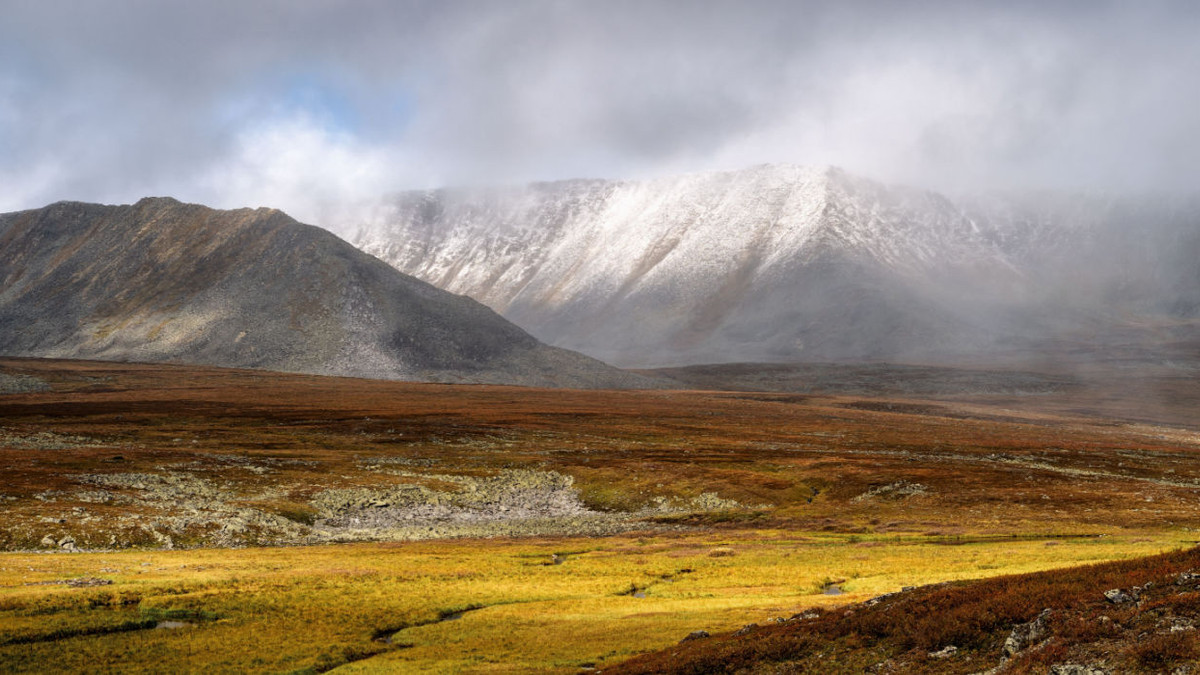 Where To See Alaska's Tundra & What To Know Before Visiting