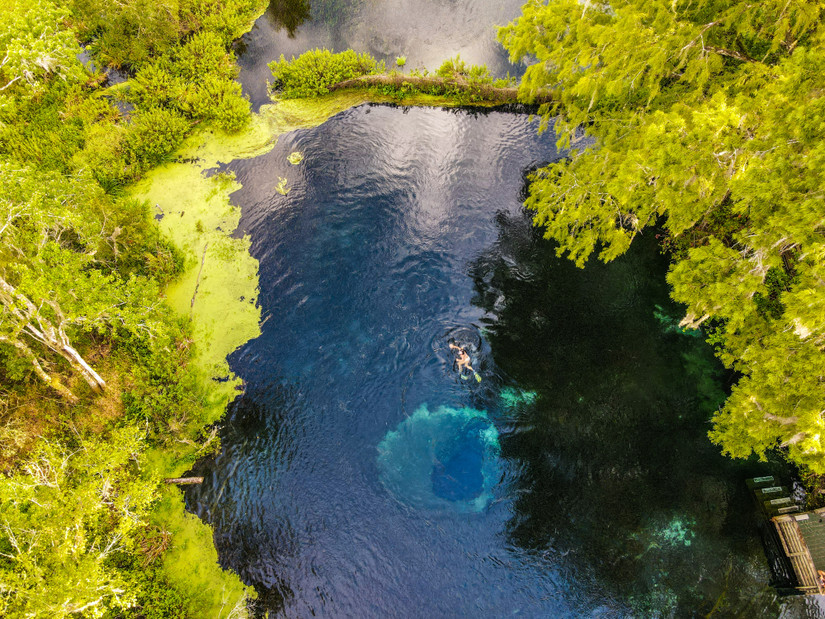 Everything You Need To Know About Swimming At Florida Caverns State Park