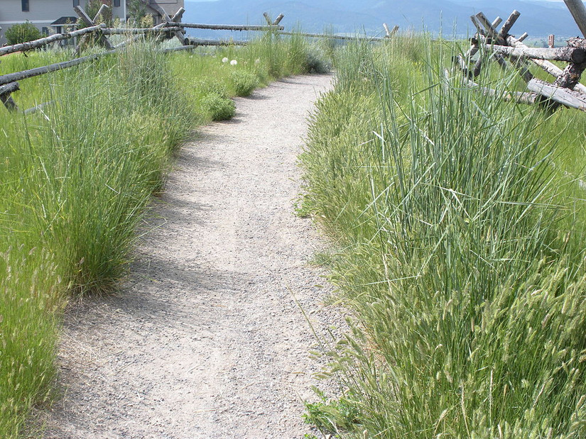 10 Things To Do In Bozeman: Complete Guide To The Most Livable Place In ...
