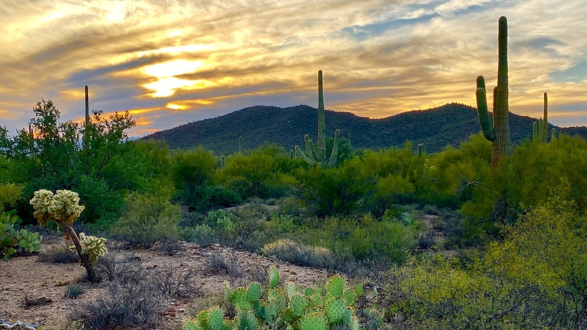 10 Unique Things To Do In Tucson