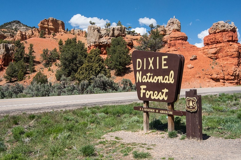 Why Red Canyon In Utah's Dixie National Forest Is Worth Visiting (& Hiking)