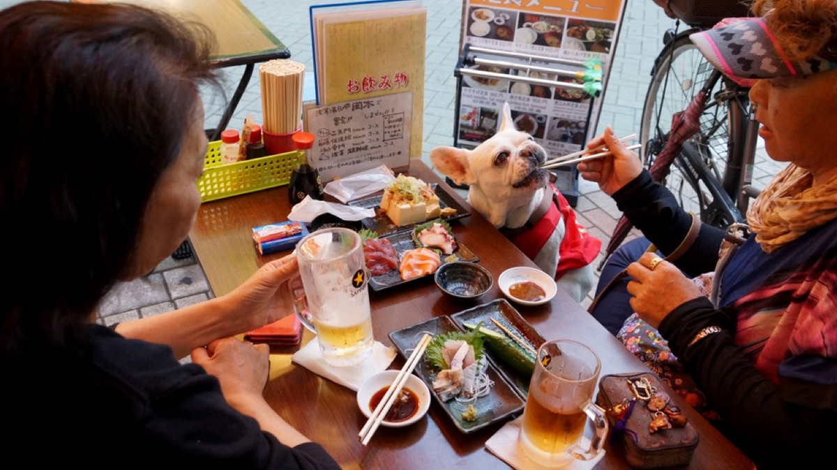 10 Of The Best Dog Friendly Restaurants In Tokyo