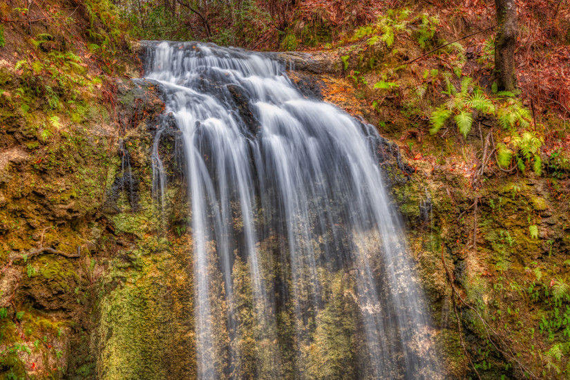 You Don't Even Need To Hike (Far) To Reach Florida's Tallest Waterfall