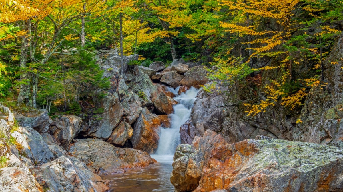 10 Awesome Things That You Can Do In New Hampshire